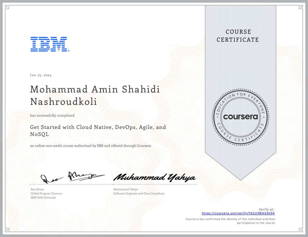 Amin Shahidi - Portfolio